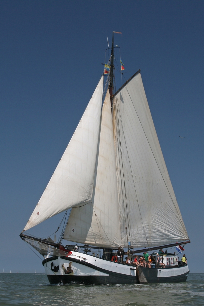 Larus – Sailing Charter Nord